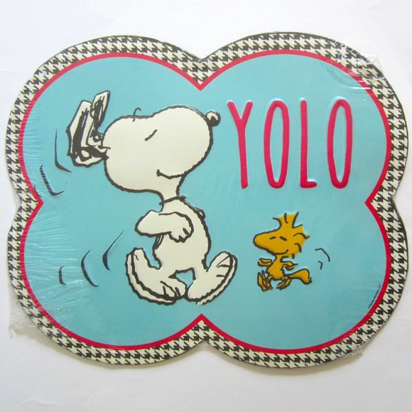 Open Road Brands | Wall Decor | Snoopy Woodstock Peanuts Yolo Cartoon ...